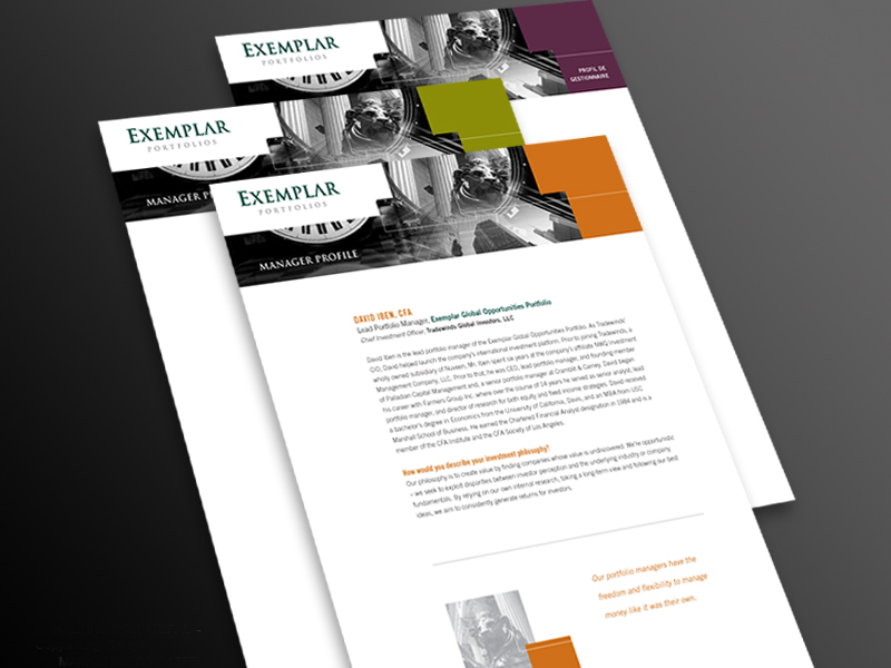 Exemplar Portfolios | Metador Creative Inc.